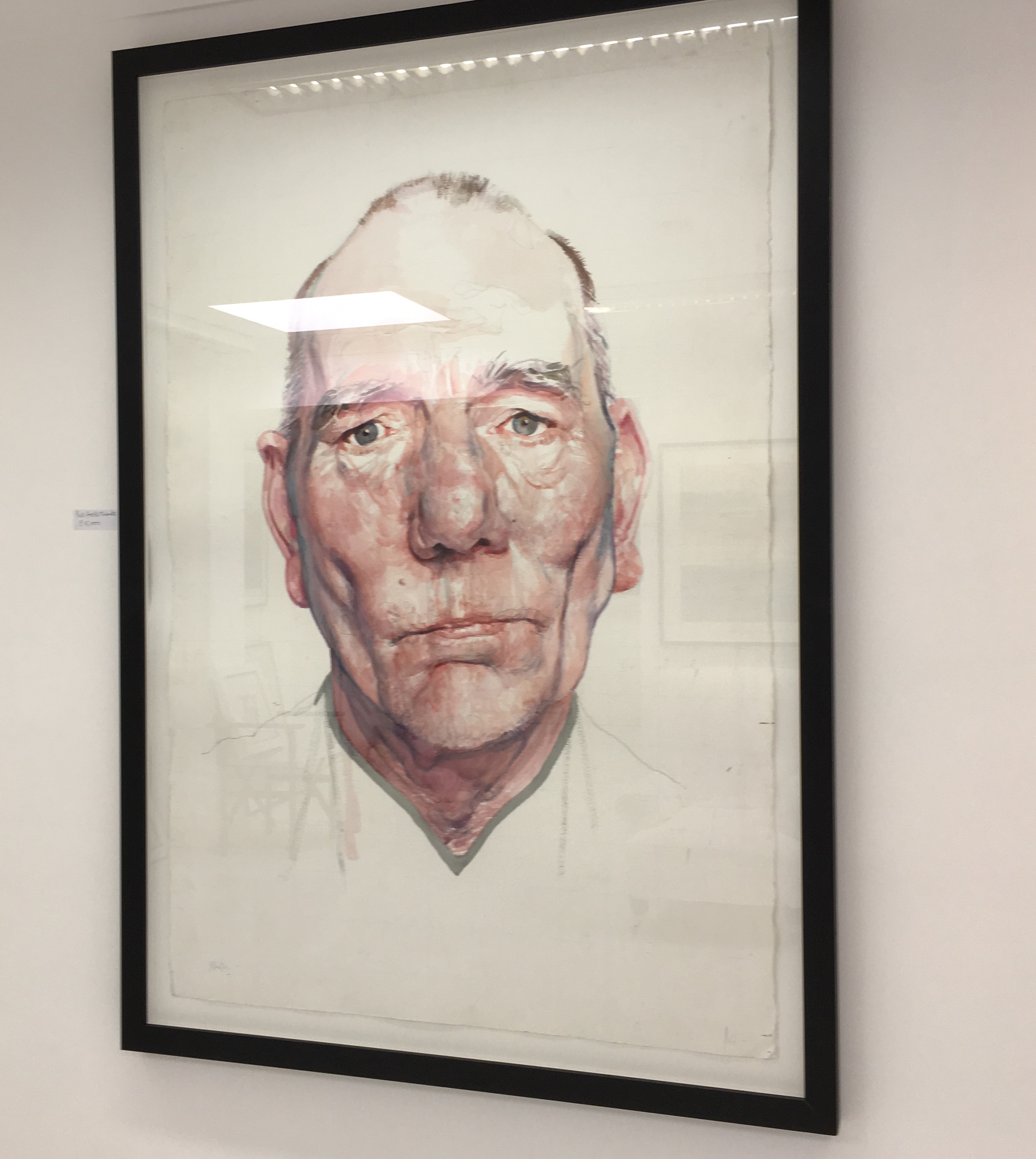 Michael Frith Exhibition - Seaward Homes